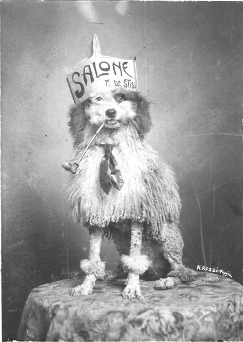 Zarbo 1er Créateur De Artnoises Artnoises Galerie