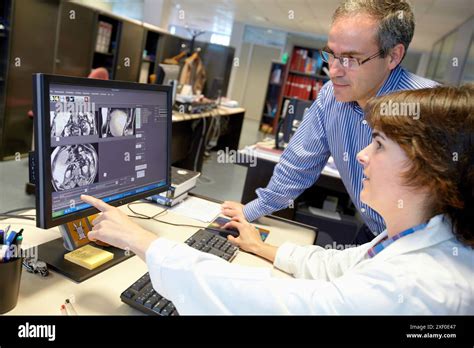 Medical Images Such As Mri Processing Techniques Segmentation