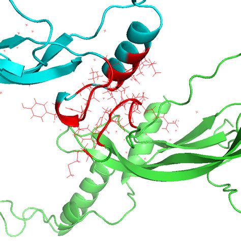 Interface Residues Of The 1m4u Protein Complex Which Contains Two Download Scientific Diagram