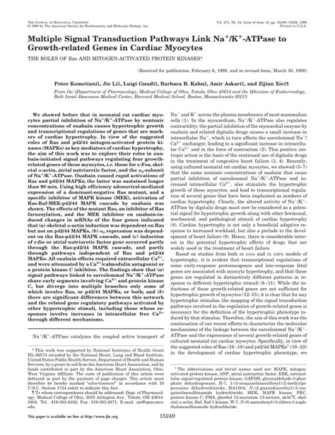 Pdf Multiple Signal Transduction Pathways Link Na1k1atpase To Growth Related Genes In Cardiac