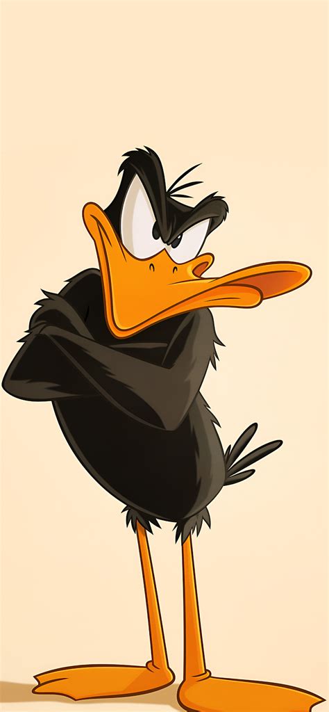 Daffy Duck Looney Tunes Cartoon Character Animated Series Full Hd