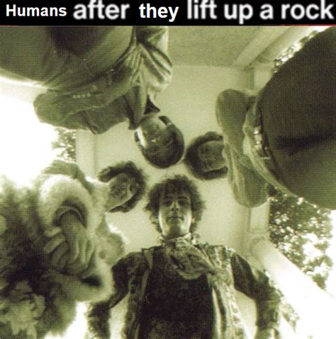 Bug Pov R Pinkfloydcirclejerk