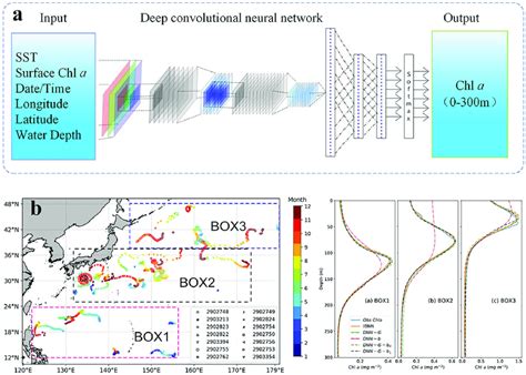 a the scm perception network b scm predictions results prediction