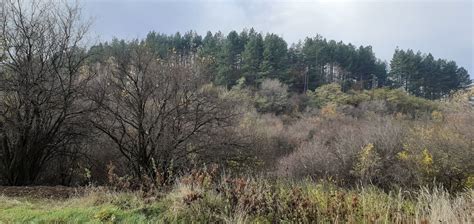 Село Люлин, България / Lulin, Bulgaria | Natural landmarks, Landmarks ...
