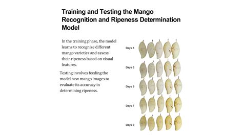 Introduction To Mango Recognition And Ripeness Determination Shrikant Navale Pptx