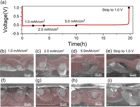 A Voltageecapacity Curve Of The Lithium Plating Stripping Process At Download Scientific