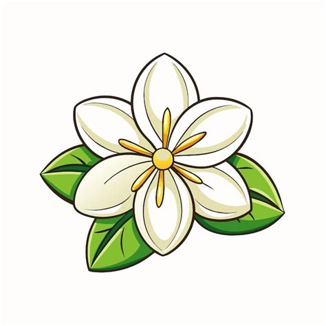 Jasmine Cartoon Illustration Images Free Download On Freepik