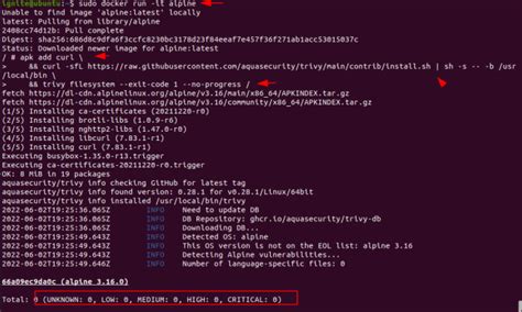 Containers Vulnerability Scanner Trivy Hacking Articles
