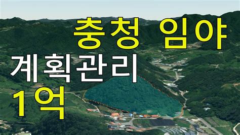 1억 13억짜리 계획관리 충남싼임야 남향 2차선접 건축가 자연인 전원생활 숲야영장캠핑고기집캠핑교회숲6차산업 약용재배 임업직불금 땅과함께새희망을경매임야 공매임야 나도