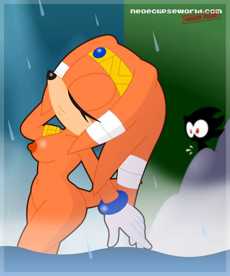 Dollmaker Shadowthehedgehog