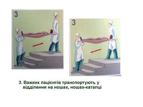 Основні принципи етики та деонтології презентация онлайн