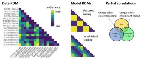 Model Based Rsa On The Left An Example Data Representational Distance
