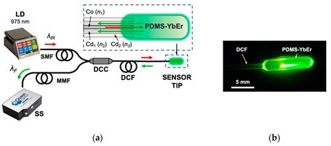 Polymers Free Full Text Luminescent Polymer Composites For Optical