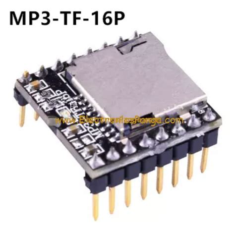 MP TF P MP Disk TF Card Module Star International