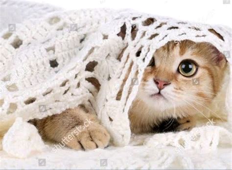 Shoaib Khan On Linkedin Programming C C Codequality Learning