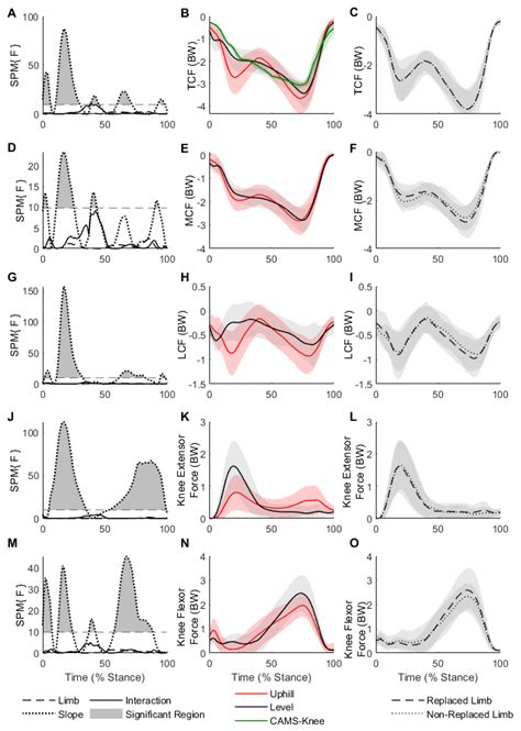 A C Spm Results Waveforms For Tcf During Uphill And Level Walking