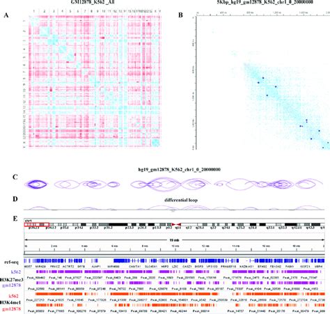 Differential Analysis Of Data From The Gm12878 And K562 Cell Lines A Download Scientific