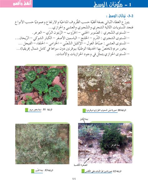 موقع مراجعة اعدادي كتابعلومالحياةوالأرض السنةالسابعةمنالتعليم