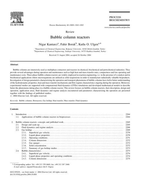 Review Bubble Column Reactors