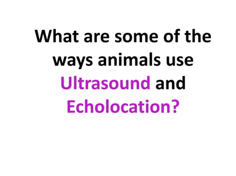 Echolocation Pptx Digital Audio Computer Software And Applications