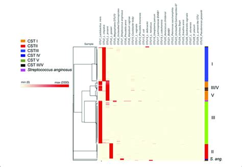 Heatmap Of Bacterial Species Composition Illustrating Hierarchical Download Scientific
