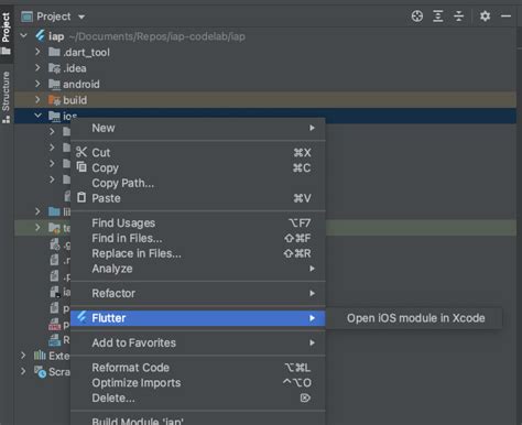 Adding In App Purchases To Your Flutter App Google Codelabs