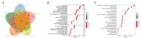 5张图搞定8分 生信文章！两月接收！只有简单的wgcna和免疫浸润分析，不蹭热点照样发高分，怎么做到的？ 知乎