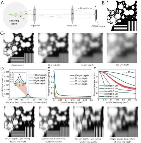 Theoretical Estimation Of The Rolling Shutter Effect On Image Quality Download Scientific