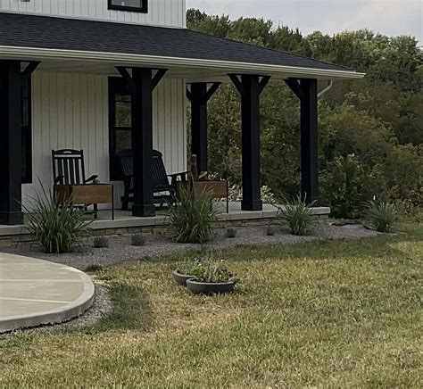 Staking Your New Tree If Necessary Comprehensive Staking Guide