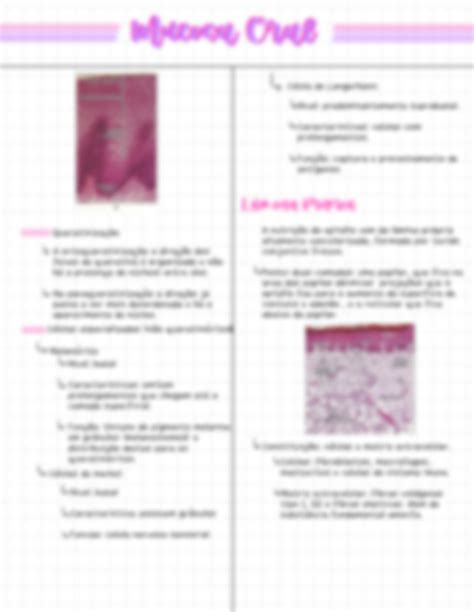Solution Oral Mucosa Histology Studypool