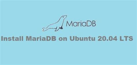 How To Install Adobe Flash Player On Ubuntu 2004 Lts Linuxways