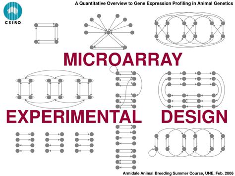 PPT MICROARRAY PowerPoint Presentation Free Download ID
