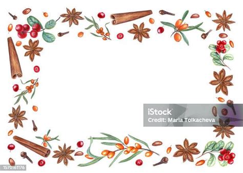 Cowberries 계피 스타 아니스 바다 Buckthorn 정향의 직사각형 프레임입니다 흰색 배경에 분리된 수채화 그림 엽서 디자인 초대장 인사말 텍스트를 위한 공간입니다