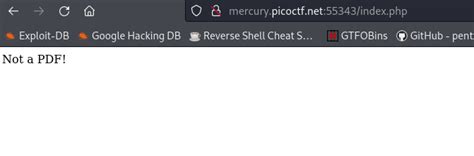 picoctf it is my birthday pentest journeys