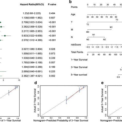 A Forest Plot Of Univariate And Multivariate Cox Regression Analyses In Download Scientific