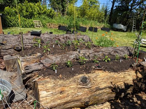 Garden Ecology Lab Socio Ecological Research In Urban And Suburban Garden Systems