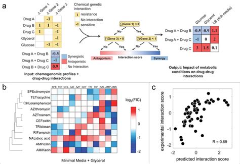 Chemogenomic Model Identifies Synergistic Drug Combinations Robust To