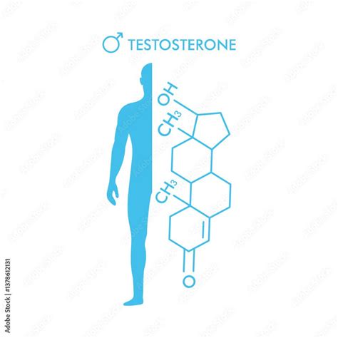 Testosterone Molecular Formula With Blue Man Silhouette Stock Vector Adobe Stock In 2025