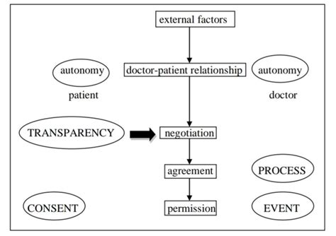Informed Consent Process I Download Scientific Diagram