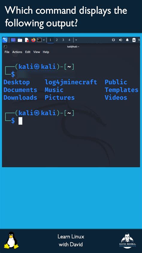 David Bombal On Linkedin Linux Kalilinux Ubuntu Hacking