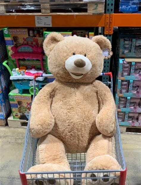 코스트코 곰인형 13m 당근 중고거래