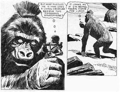 The Labyrinth Comic Story Tardis Wiki