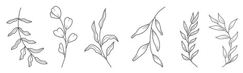손으로 그린 허브와 가지가 특징인 식물 라인 아트 일러스트레이션 우아하고 자연스러운 테마의 디자인 프로젝트에 적합한 미니멀리스트 벡터 꽃 클립아트 세트입니다 0명에 대한