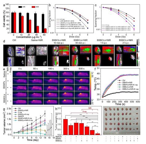 二氧化硅包覆的铋纳米颗粒递送肿瘤微环境响应型前药以实现肿瘤的特异性放疗增敏 X Mol资讯