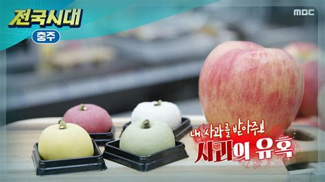 전국시대 내 사과를 받아줘~ 사과의 유혹 충주 Youtube