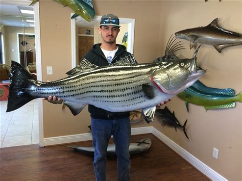 55 Inch Striped Bass Fish Mount Replica Reproduction For Sale