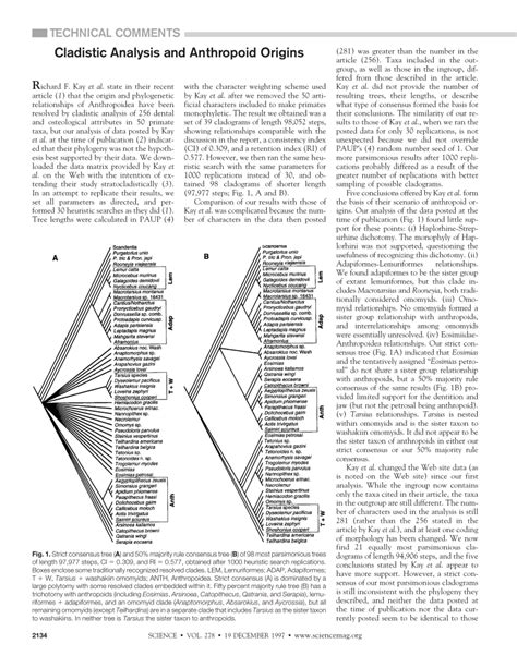 Pdf Cladistic Analysis And Anthropoid Origins