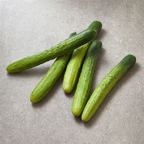 이마트 에브리데이