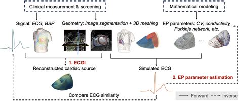 Solving The Inverse Problem Of Electrocardiography For Cardiac Digital Twins A Survey
