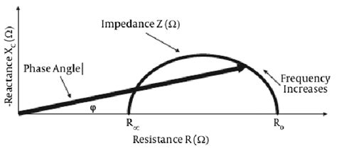 Phase Angle From Bioelectrical Impedance Download Scientific Diagram